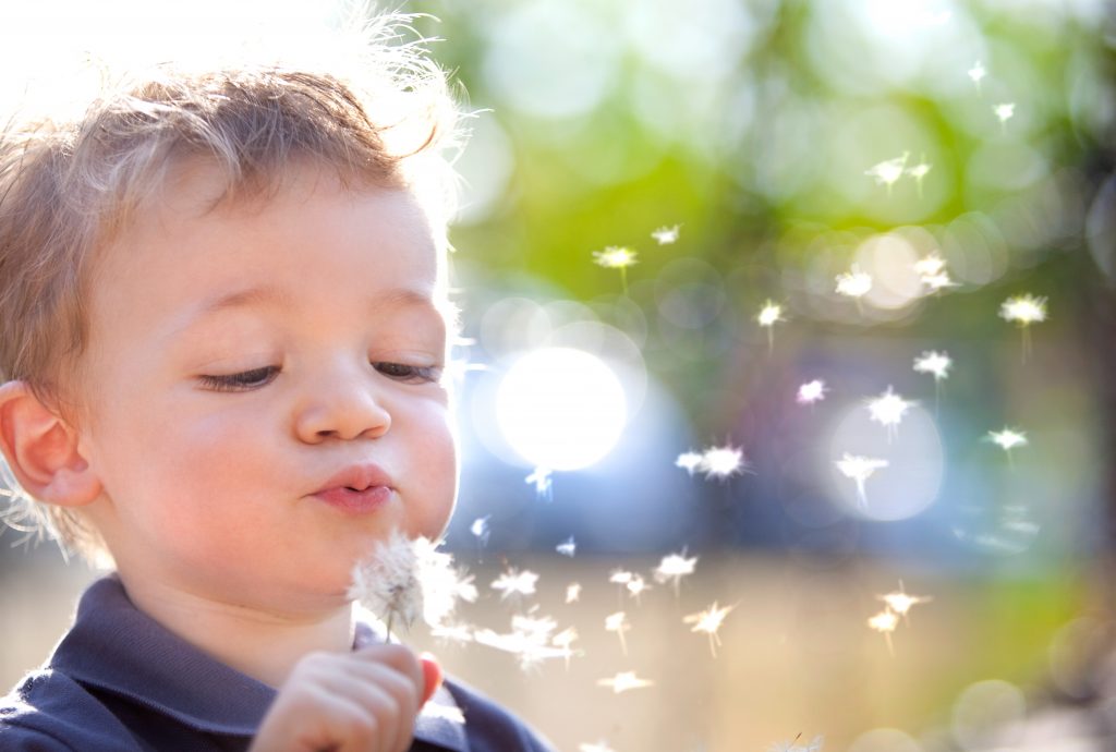 Blog: Learn like a child: it’s crucial to your business ...